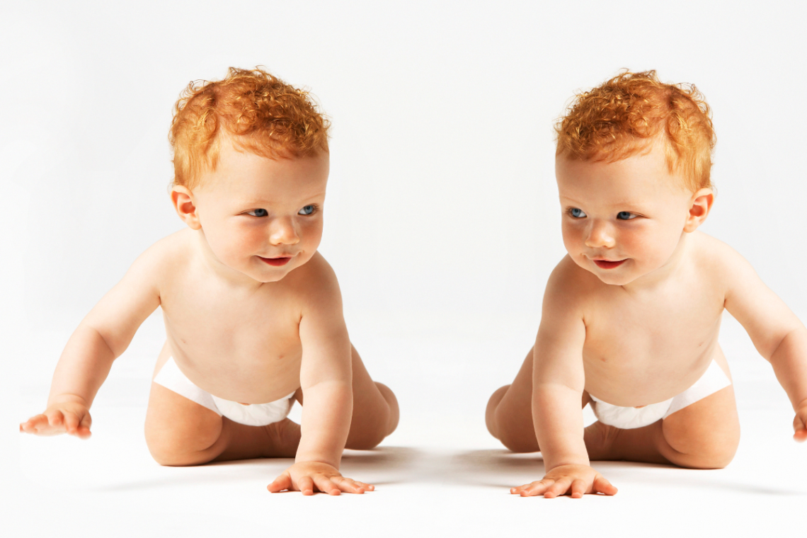 The Different Types of Twins Explained - Two Came True - Helping Twin ...